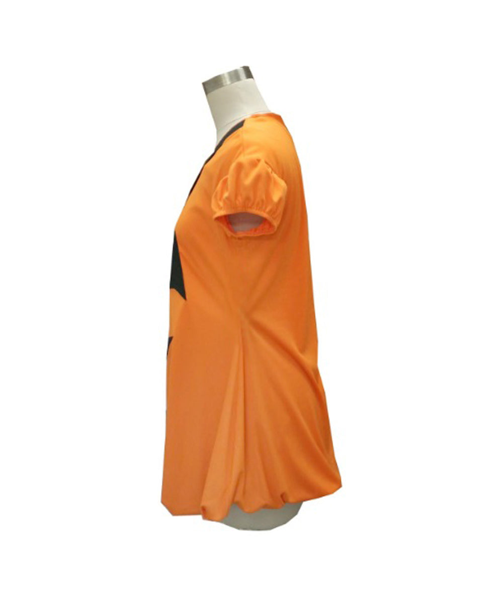 Adult Pumpkin Halloween Costumes - HalloweenPartyOnline