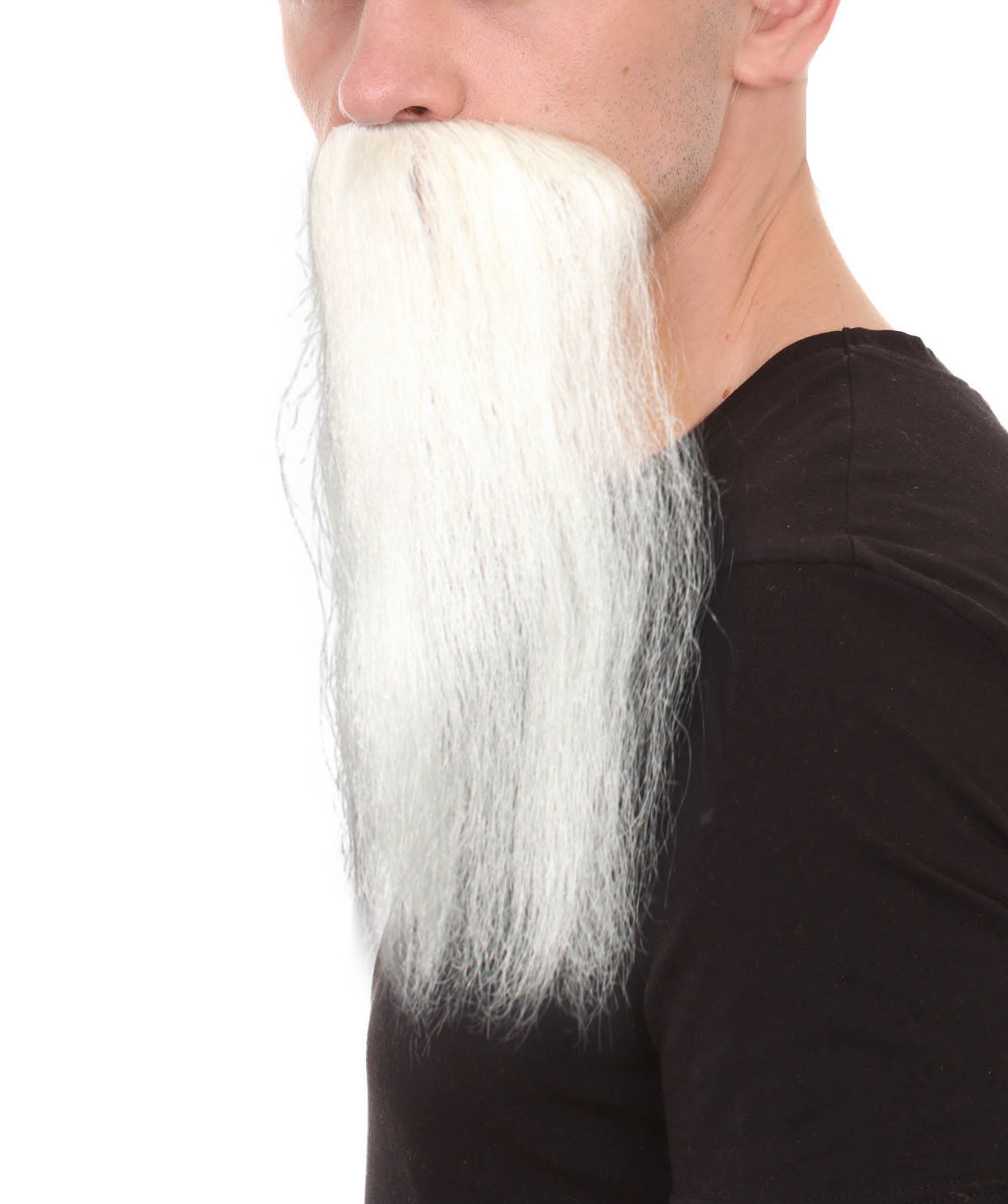 Long Wizard Beard | - HalloweenPartyOnline