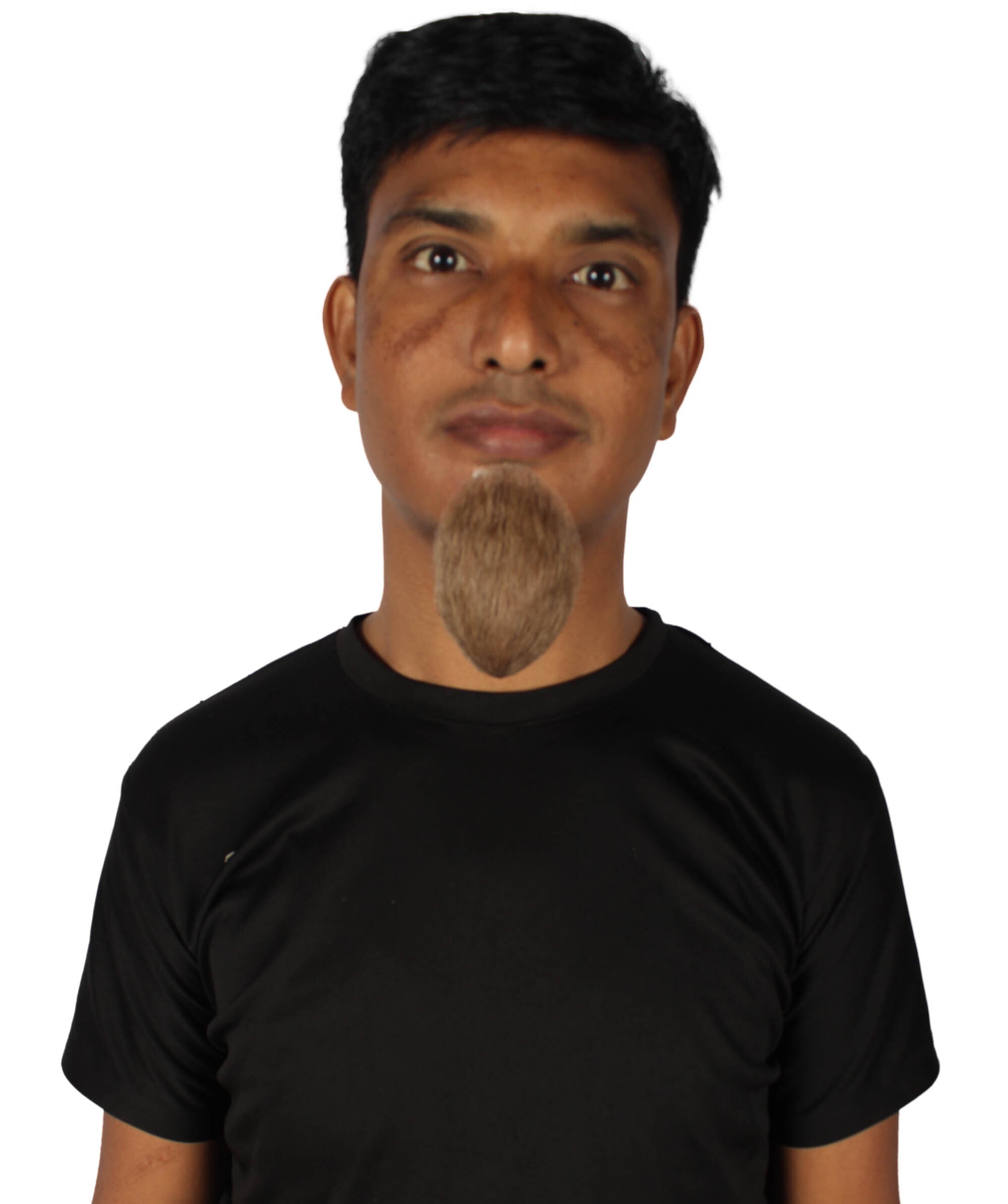 Goatee Blend Beard | - HalloweenPartyOnline