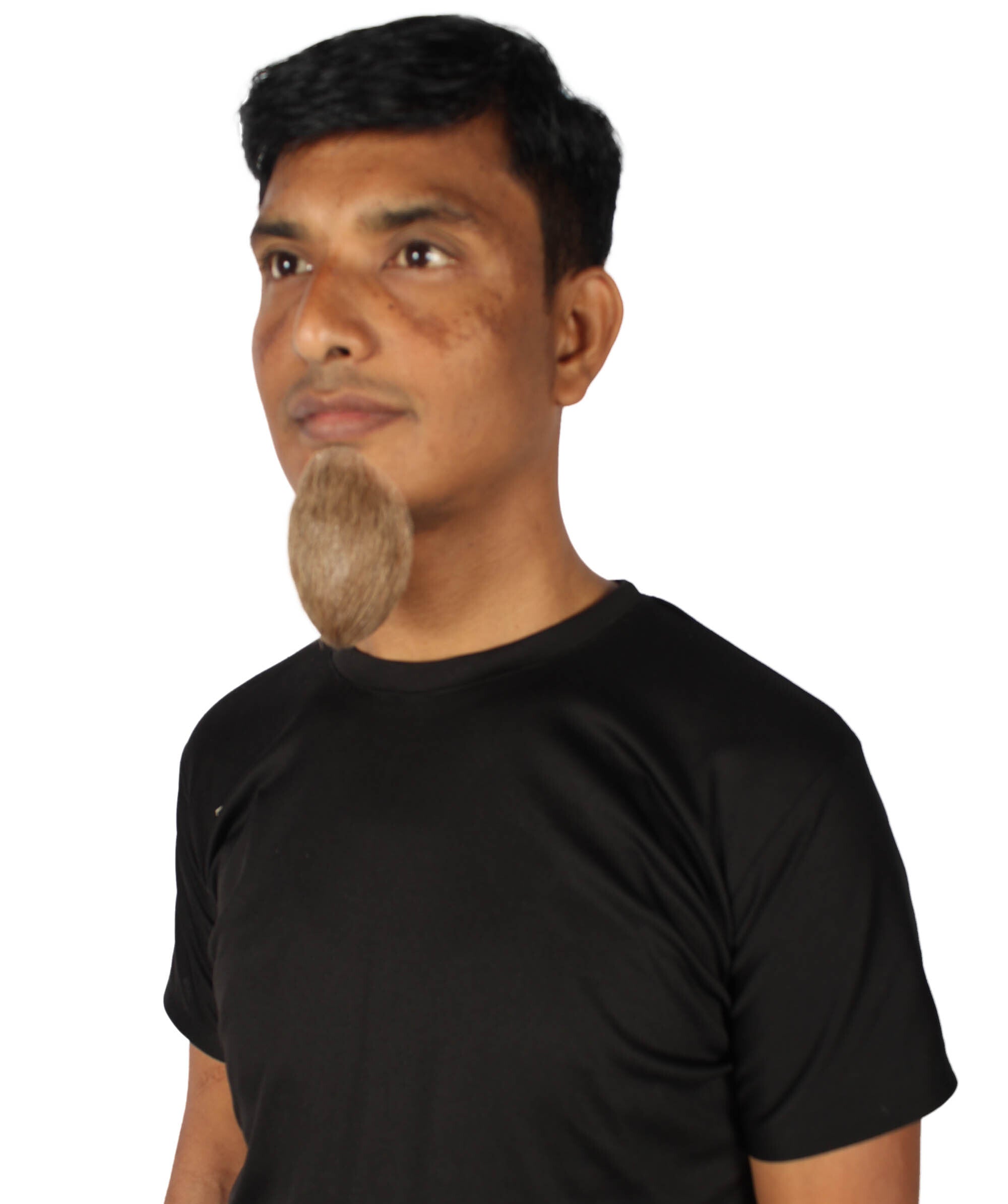 Goatee Blend Beard | - HalloweenPartyOnline